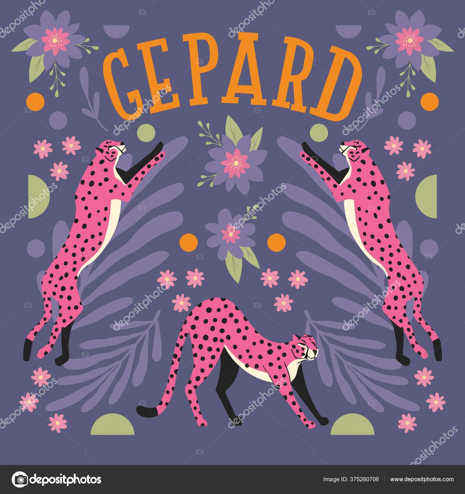 Coleção Chitas Rosa Desenhadas Mão Bonitos Pulando Esticando Fundo Roxo ...