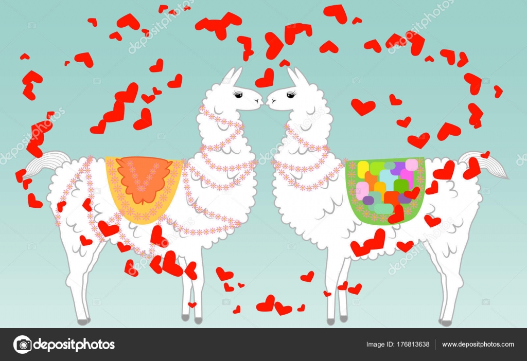 Two lovers kissing llamas surrounded by hearts. Love in the air ...