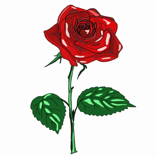 Red rose cartoon Stock Vector Image by ©bioraven #124981802