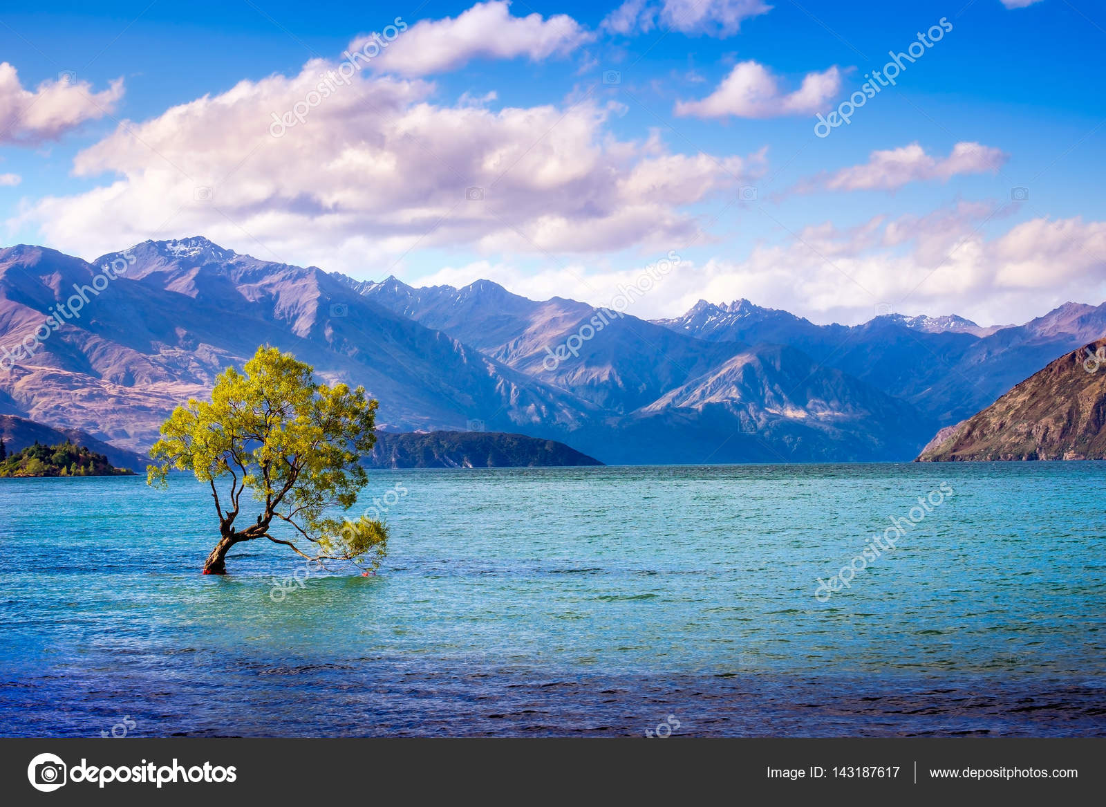 árbol En El Lago Wanaka