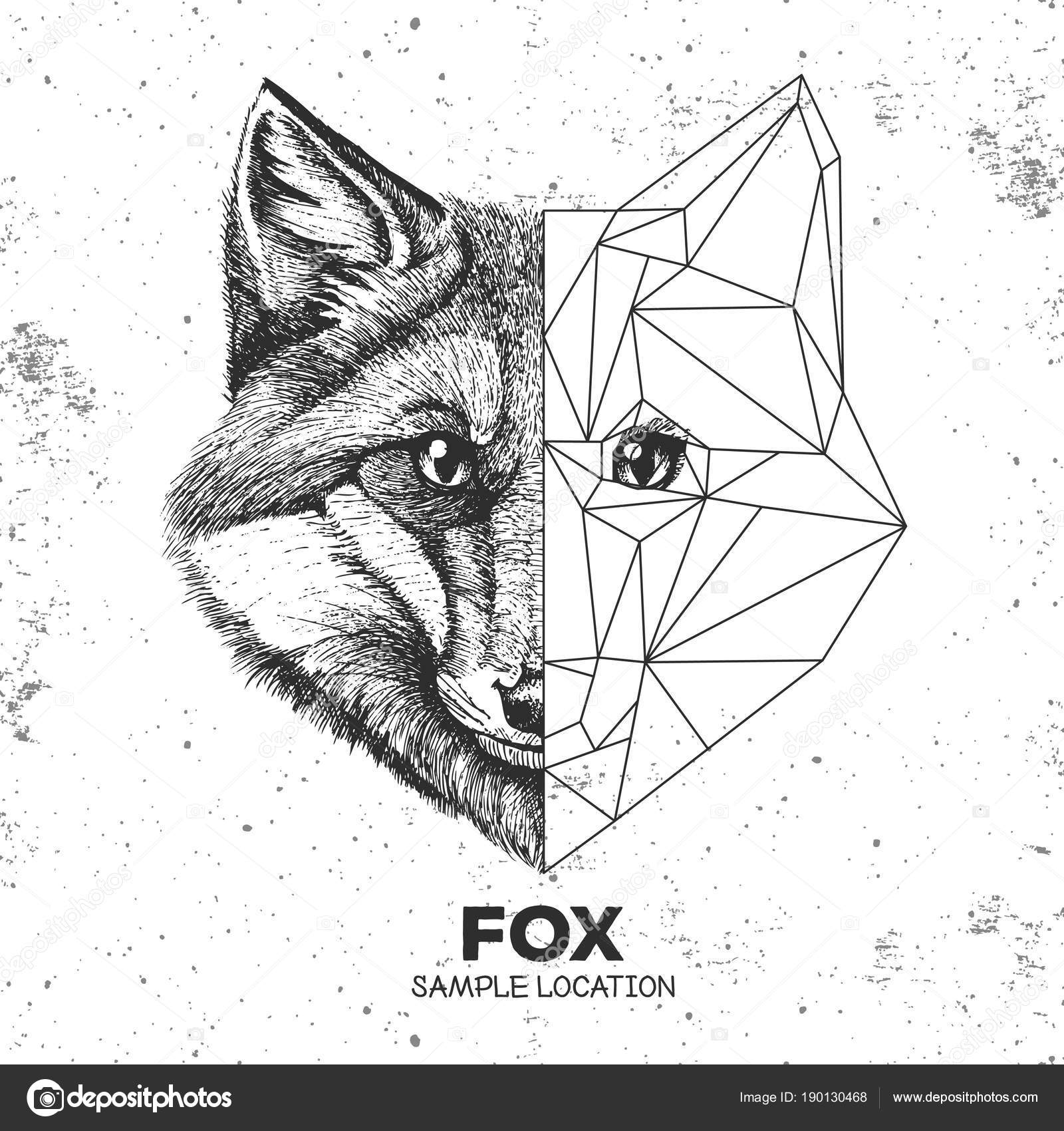 Hipster animal realistic and polygonal fox face. Triangle animal Stock ...