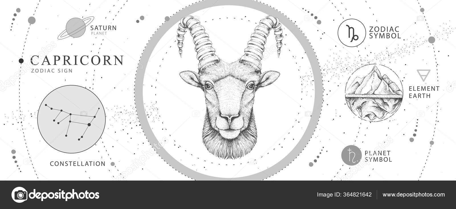 Modern Magic Witchcraft Card Astrology Capricorn Zodiac Sign Realistic Hand Stock Vector by ...
