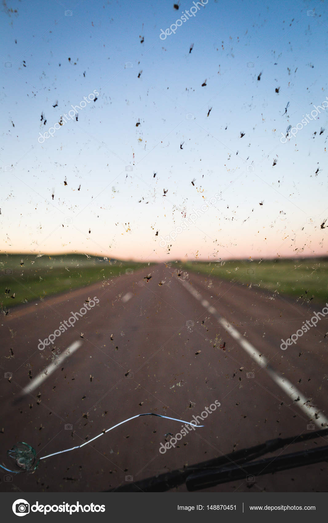 Bugs on a windshield with highway background Stock Photo by ...