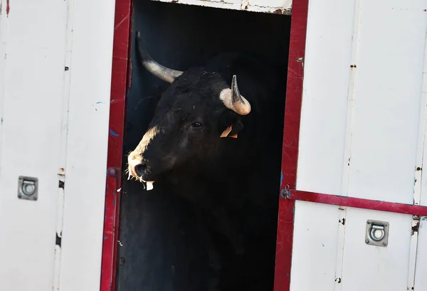 Buffalo stall Stock Photos, Royalty Free Buffalo stall Images ...