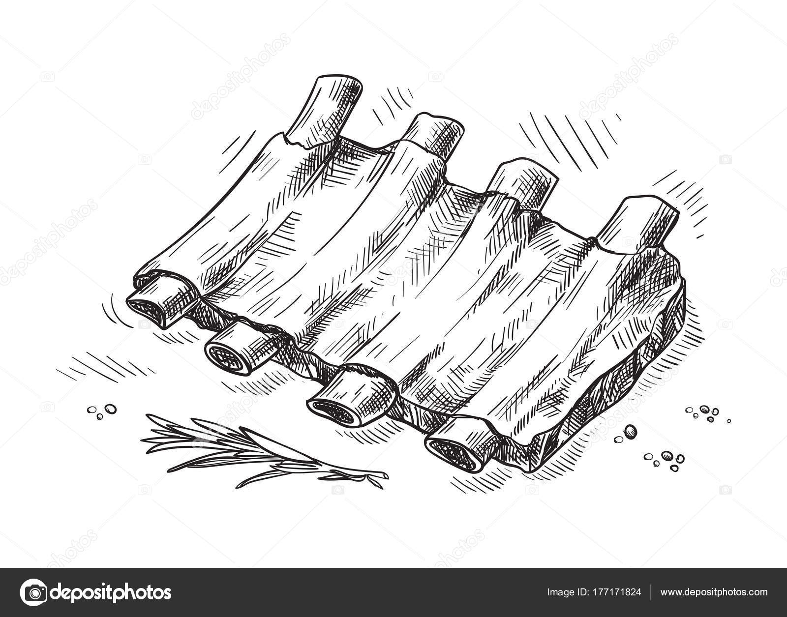 Spare Rib Coloring Pages Coloring Pages