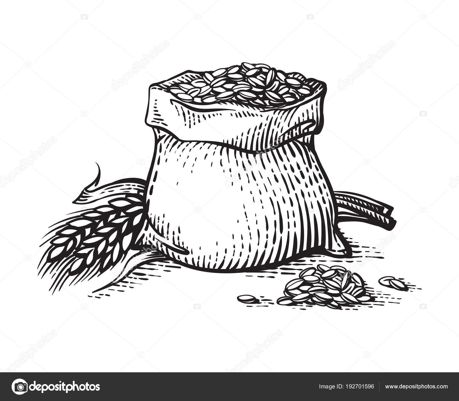 Sack Clipart Grain Sacks Drawing Vector Stock Clip Illustration Rice ...