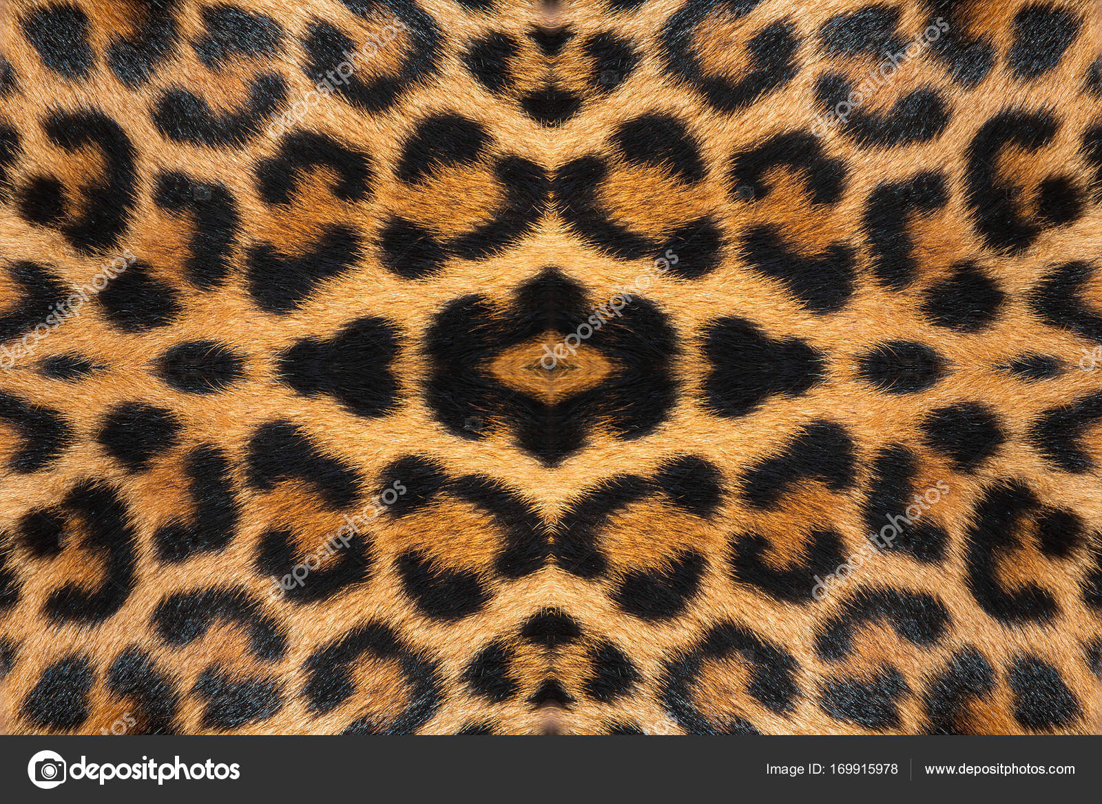 Close up Tiger — Stock Photo © Appstock #169915978
