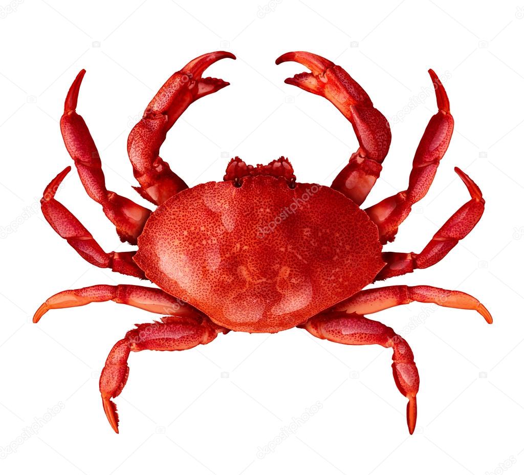 Crab Shellfish Isolated — Stock Photo © lightsource #124838010