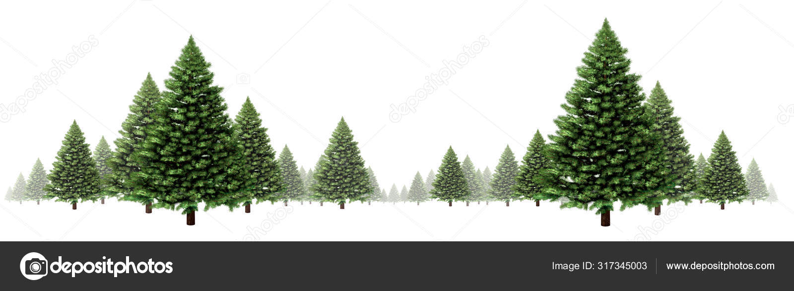 Evergreen Horizontal Border Stock Photo by ©lightsource 317345003