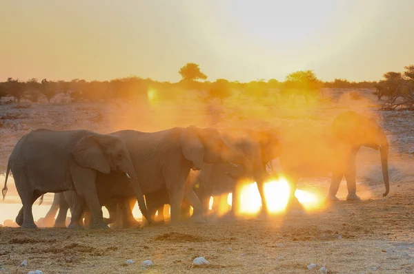Rapa nui nationalpark Stock Photos, Royalty Free Rapa nui nationalpark ...