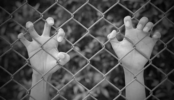 Hands touching a metal fence Stock Photo by ©civic_dm@hotmail.com 154828288