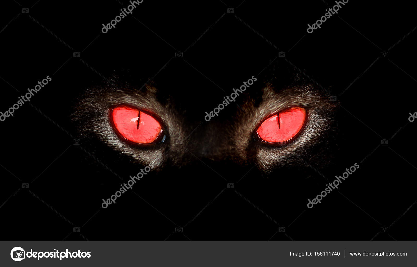 Serious, evil animal eyes stare at something in black Stock Photo by ...