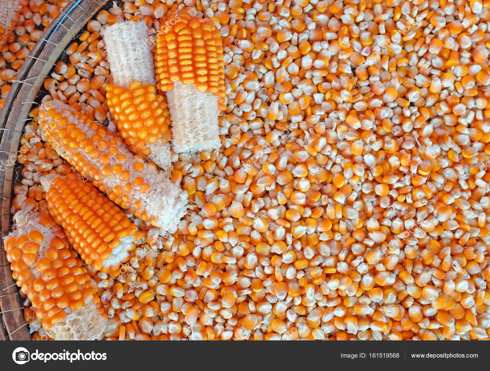 Smash corn on corn grains, Whole background Stock Photo by ©civic_dm ...