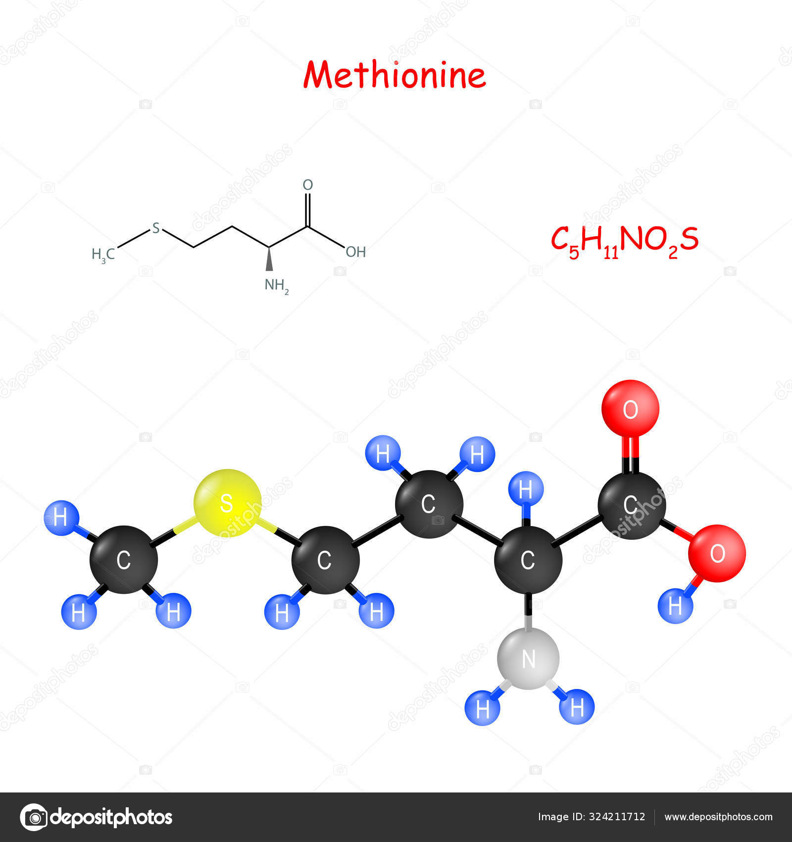 Metionina. Fórmula estrutural química e modelo de molécula . Vetor de ©edesignua 324211712