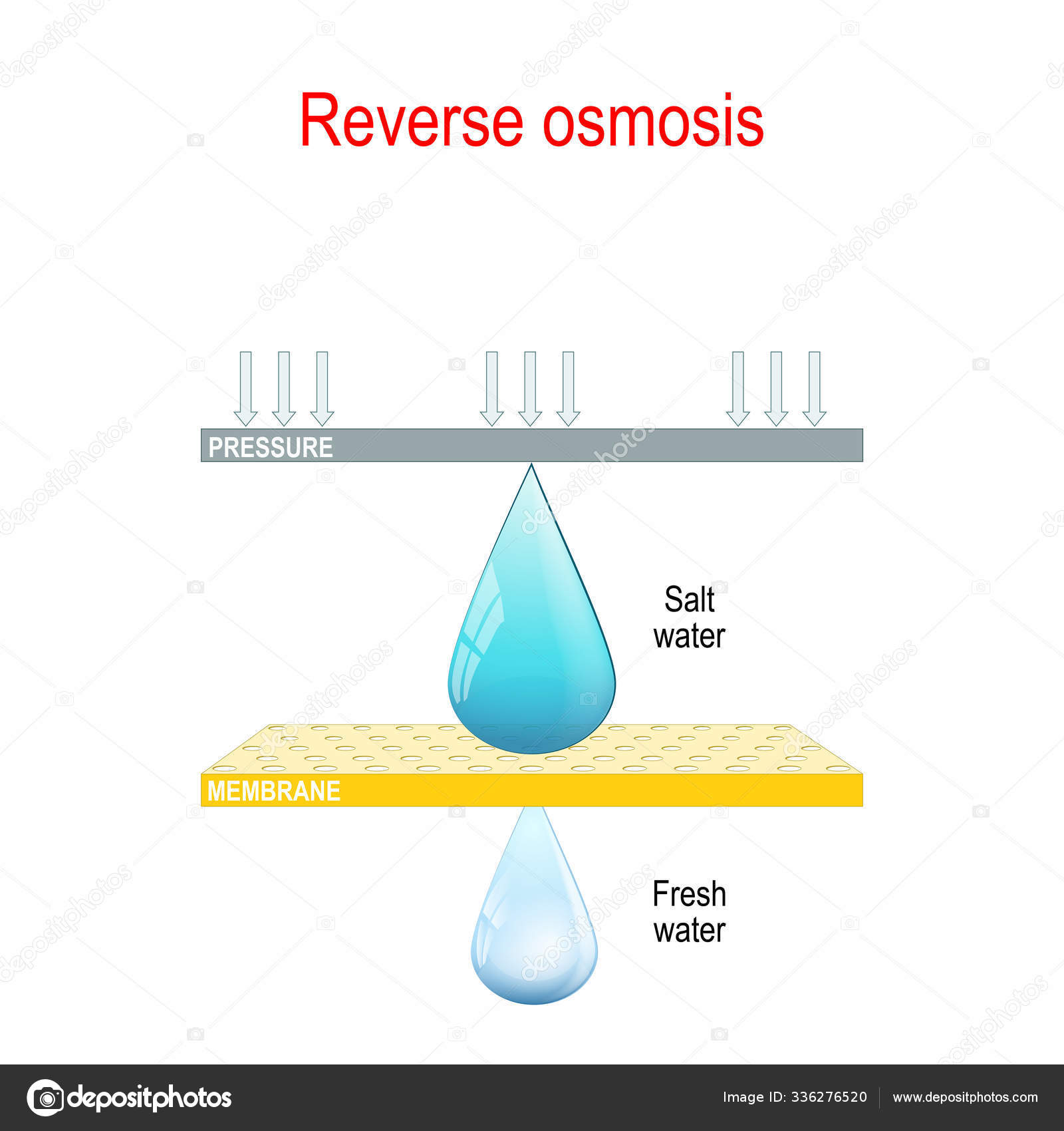 Diagrama De Membrana De Osmose Reversa Osmose Reversa Vs
