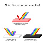 Reflects and absorbs. Spectrum of Colors and Sunlight Stock Vector ...