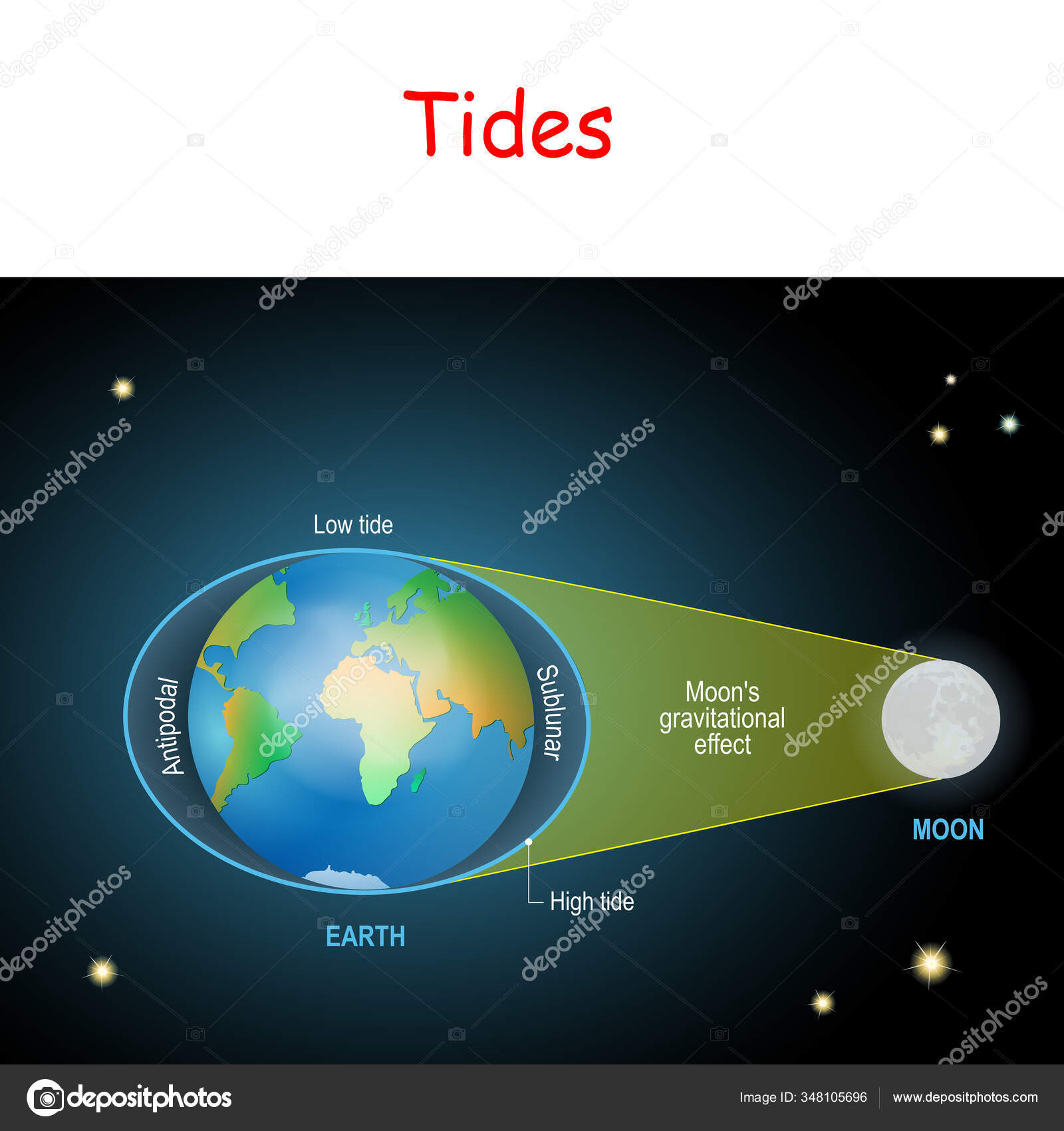 Tides Diagram Low High Lunar Tides Effect Moon Gravitational Force ...