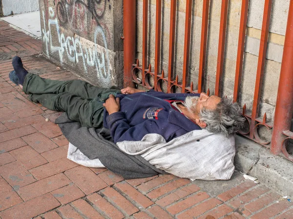 Barbone che dorme Foto Stock, Barbone che dorme Immagini | Depositphotos