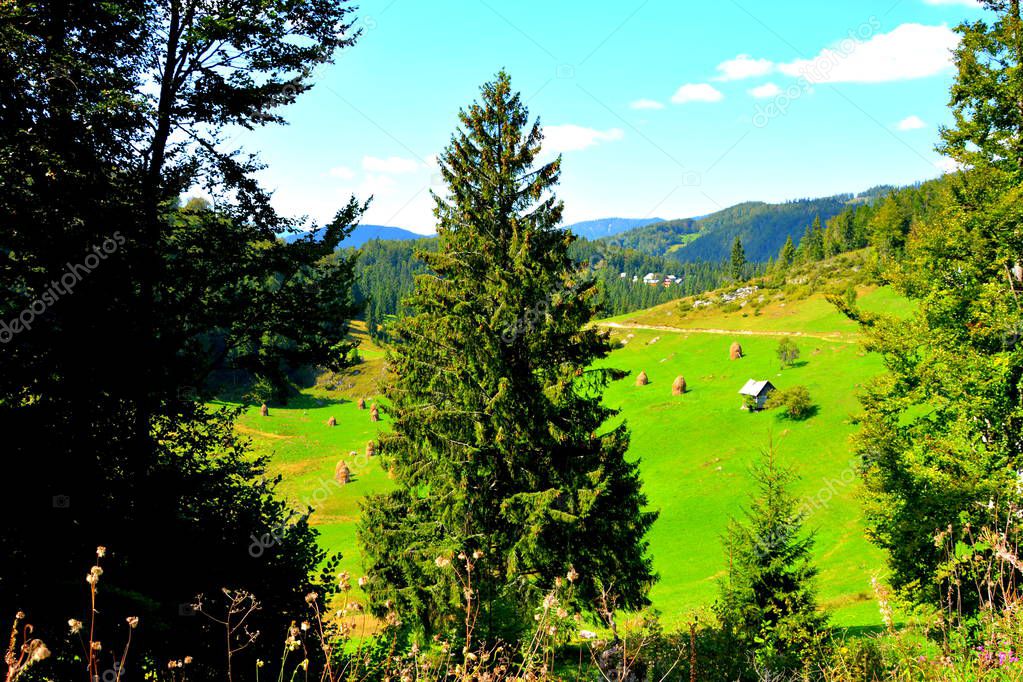 Paisaje en las montañas Apuseni, Transilvania, que pertenece a los ...