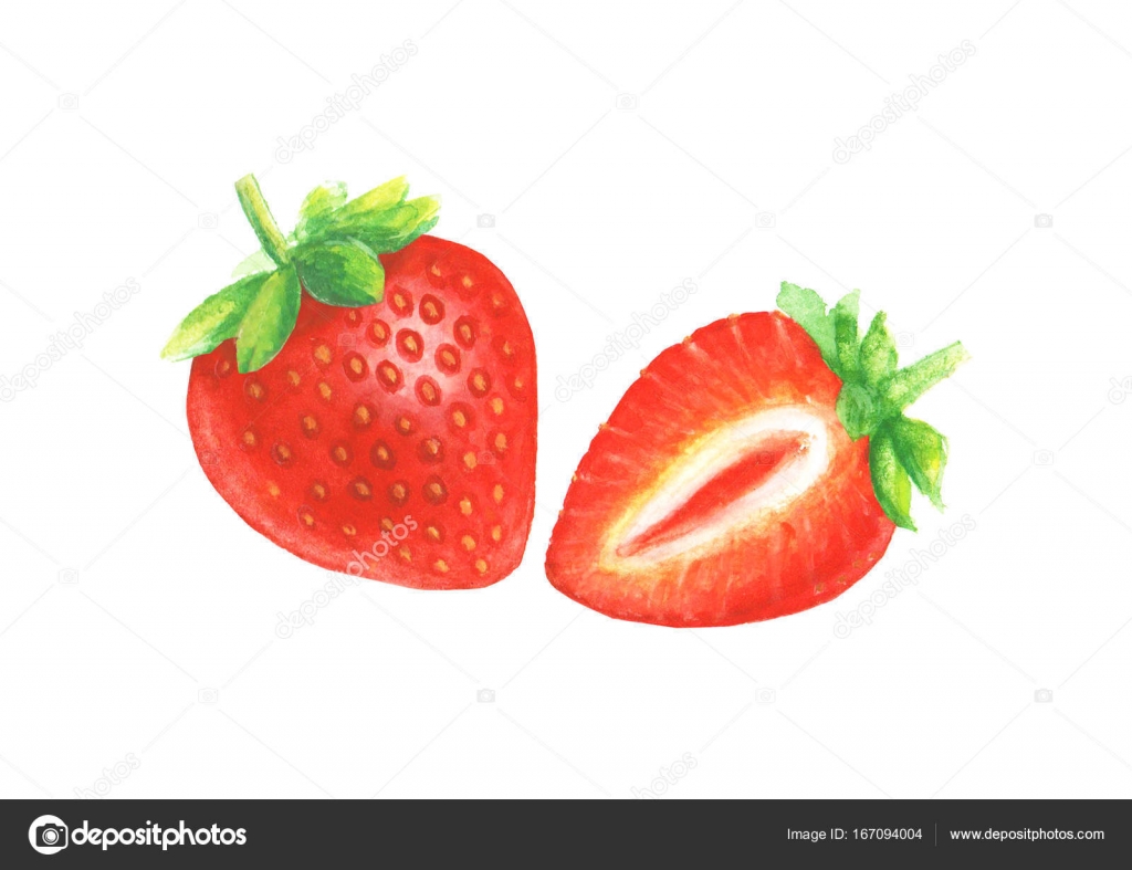 Acuarela fresa dibujada a mano Vector de stock por ©OlgaZe 167094004