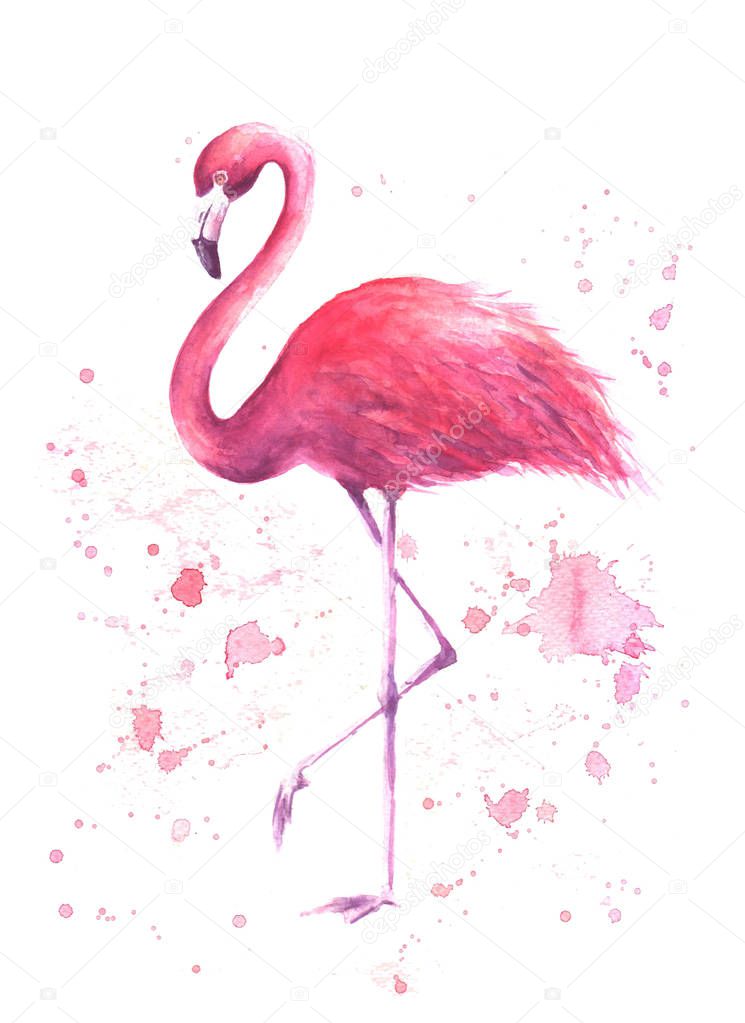 Watercolor pink flamingo — Stock Vector © OlgaZe #178018404
