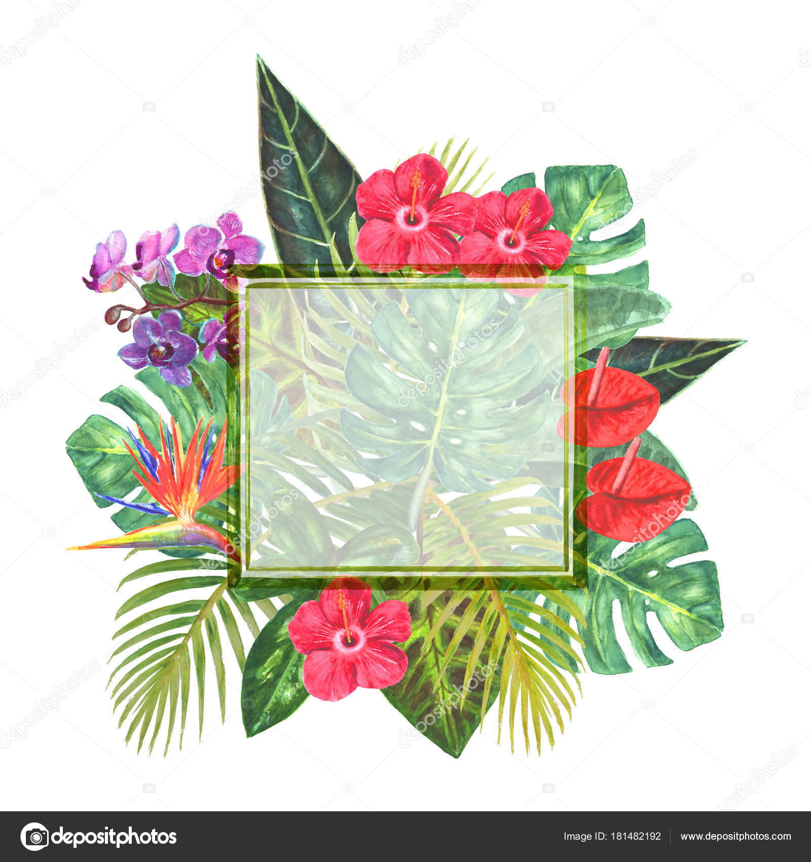 Green tropical border frame — Stock Photo © OlgaZe #181482192