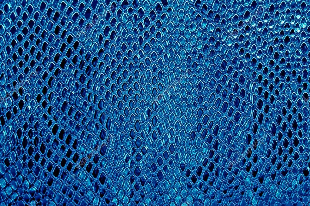 Snake skin as background Stock Photo by ©domnitsky.yar 126087464