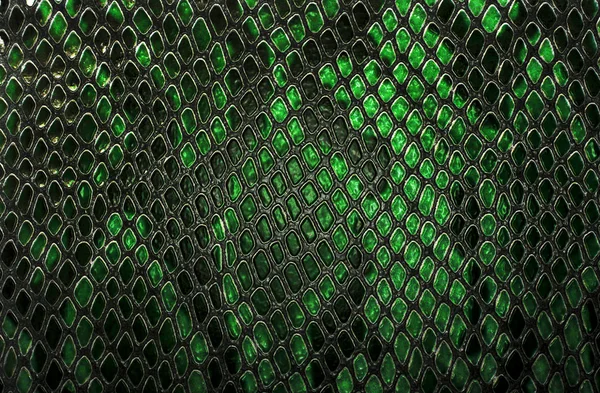 Green snake skin Images - Search Images on Everypixel