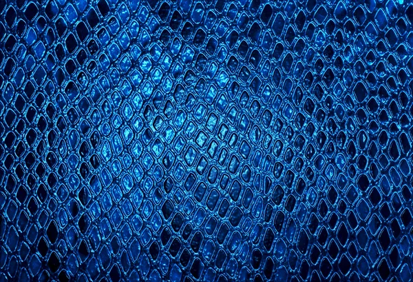 Blue snake skin background - Stock Image - Everypixel