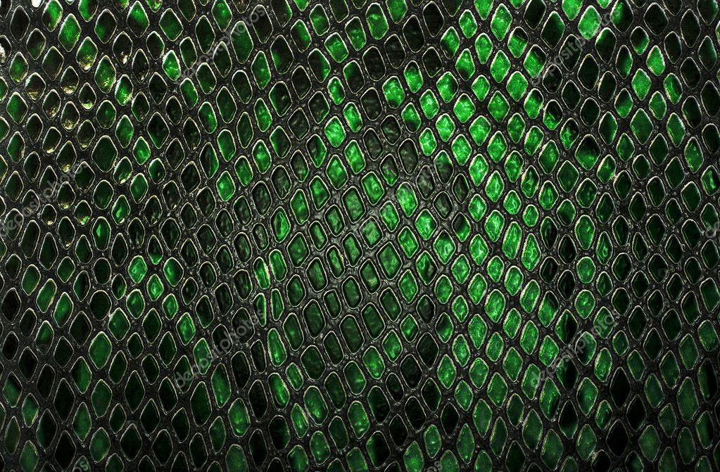 Green Reptile Skin Texture