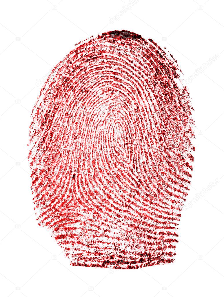 Red fingerprint on white background — Stock Photo © domnitsky.yar ...