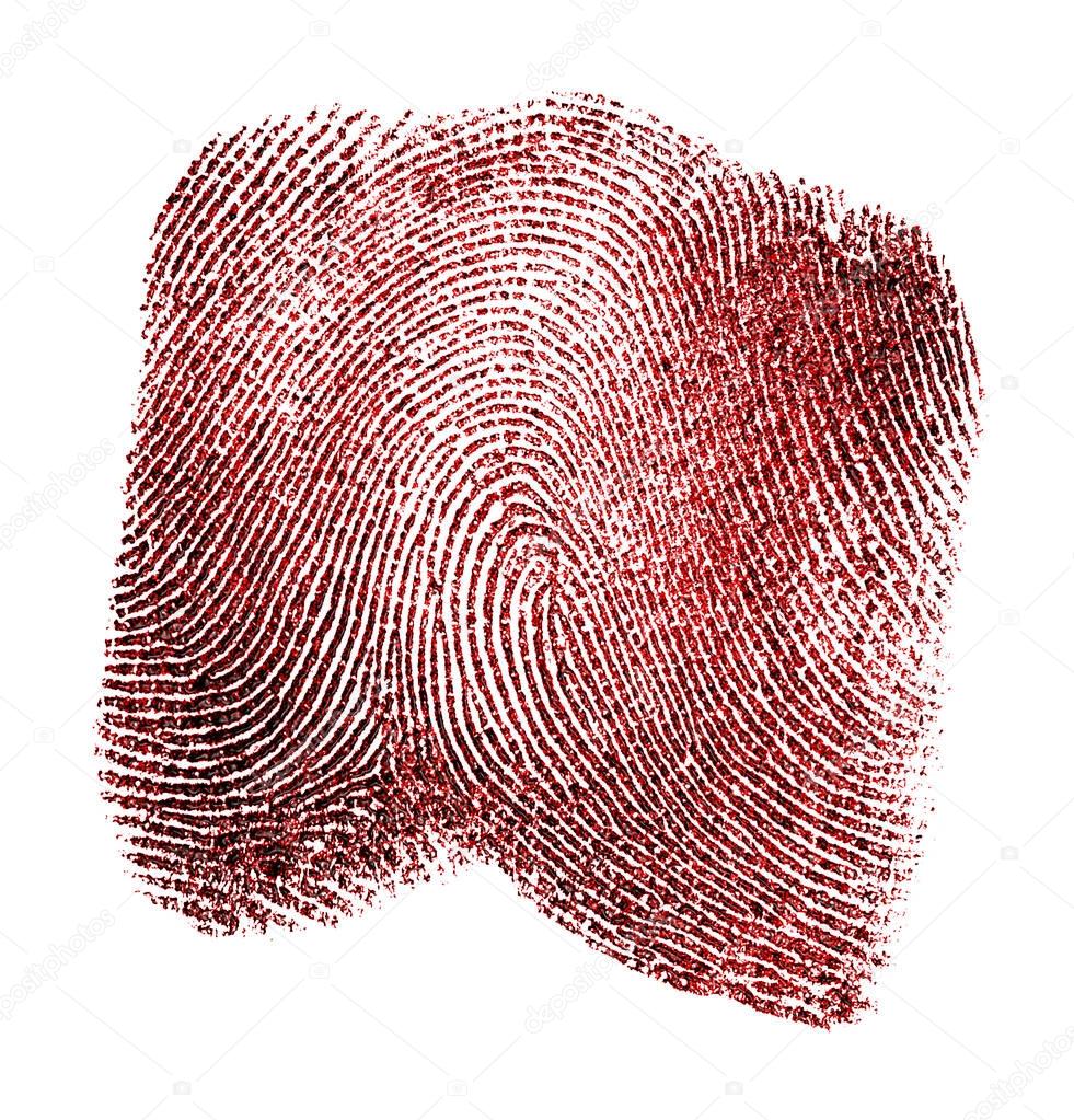Red fingerprint on white background Stock Photo by ©domnitsky.yar 129587674