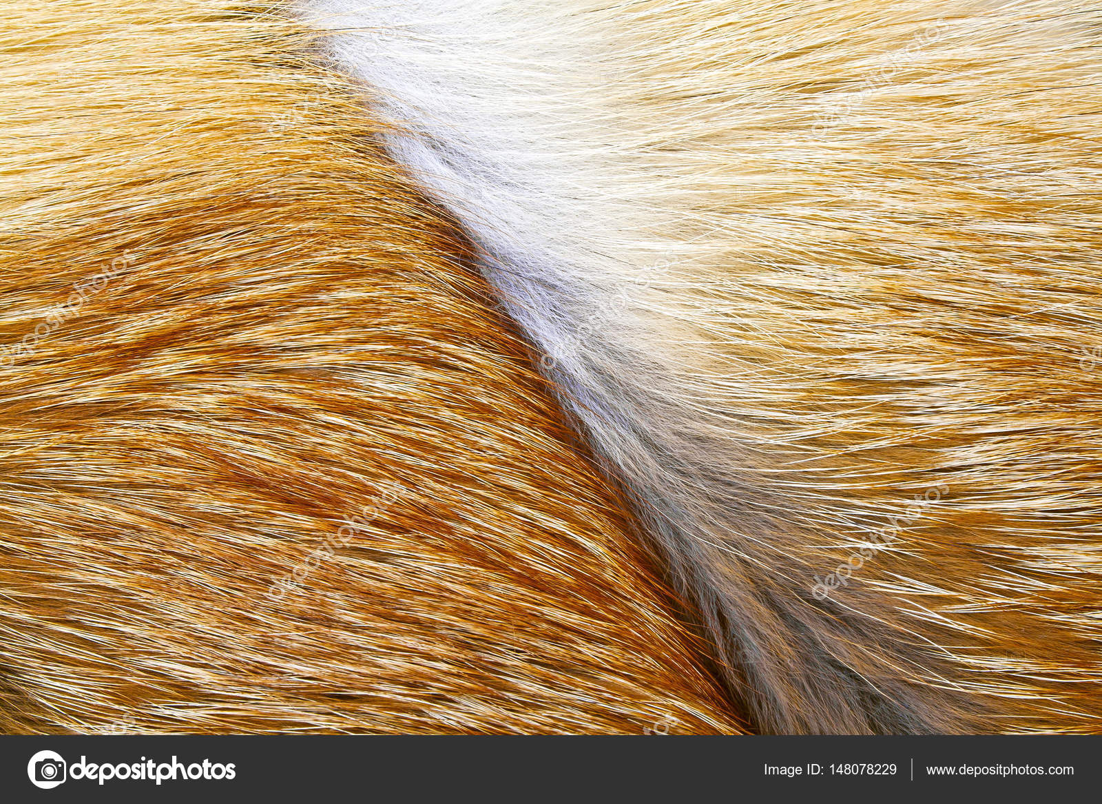 Fox Fur Texture Fur Fashion "Chionáti Atelier" Real Fox Fur Coats