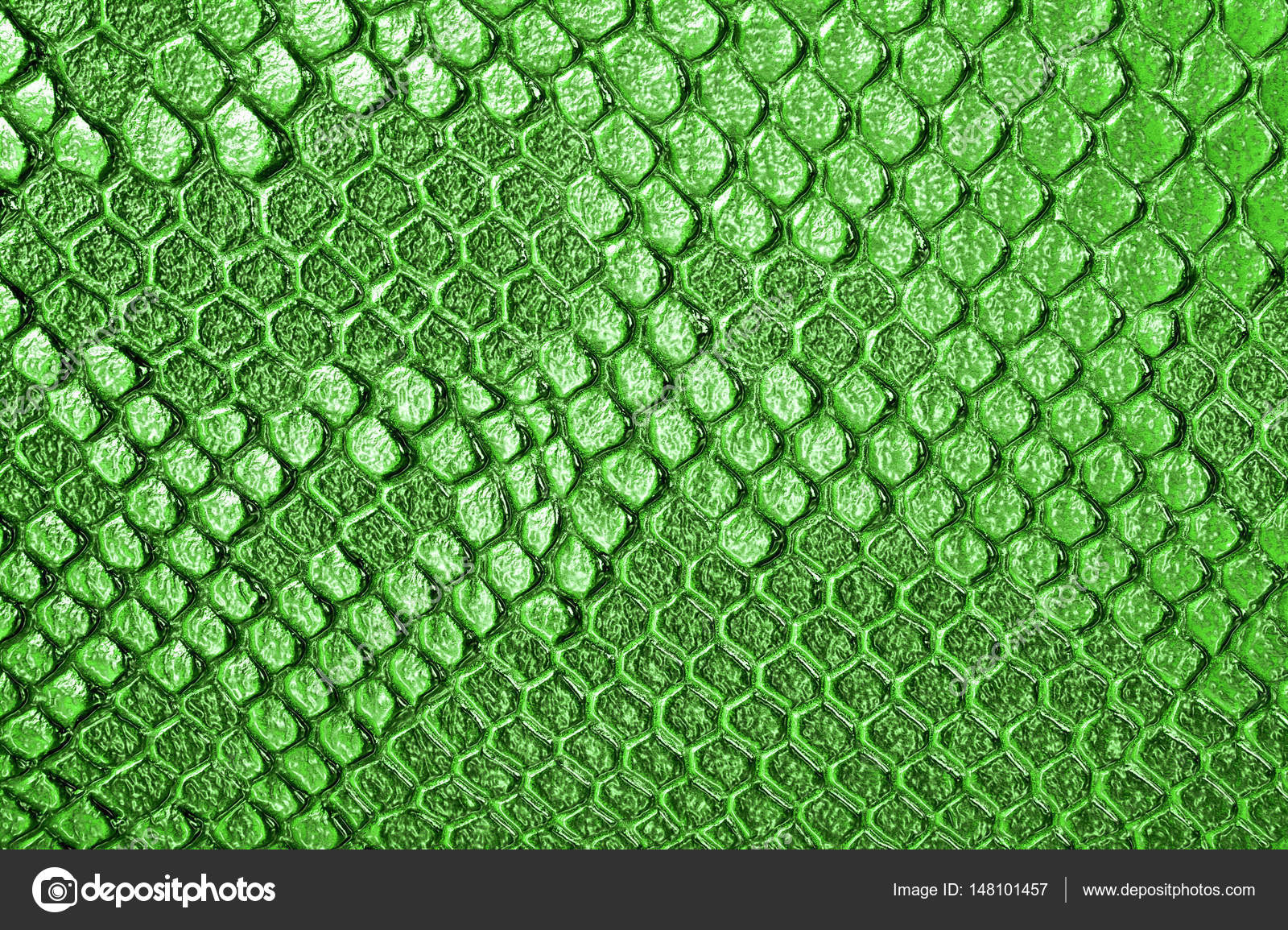 Green snake skin background Stock Photo by ©domnitsky.yar 148101457