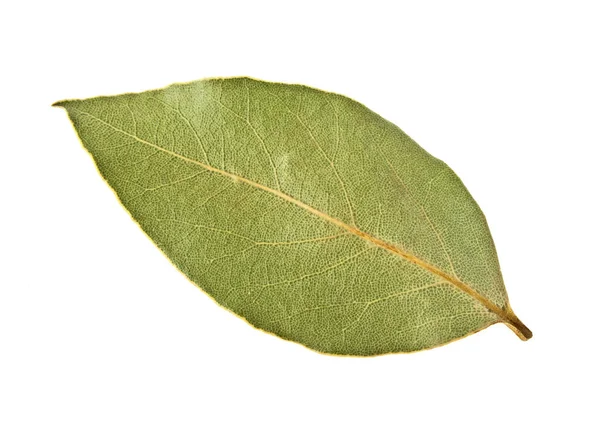 Feuille de coing images libres de droit, photos de Feuille de coing ...