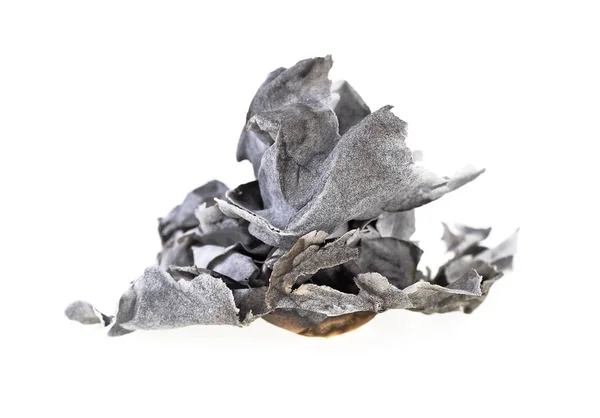 Pile Of Paper Ashes