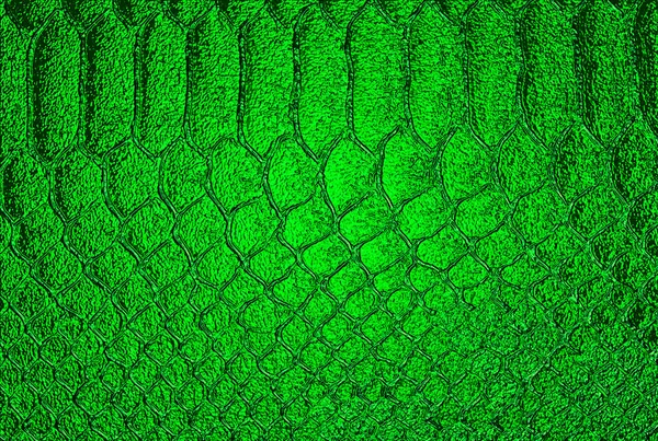 Green Snake Skin Pattern