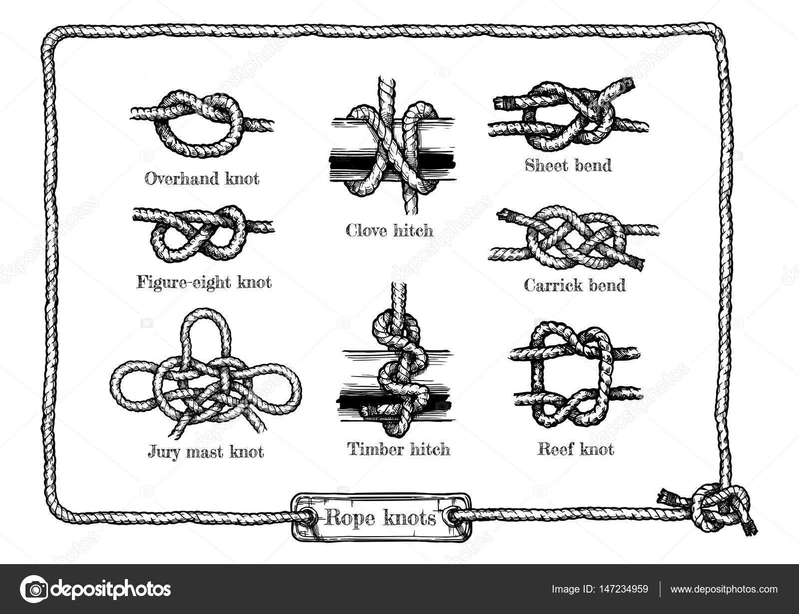 Different rope knots Stock Vector Image by ©suricoma #147234959