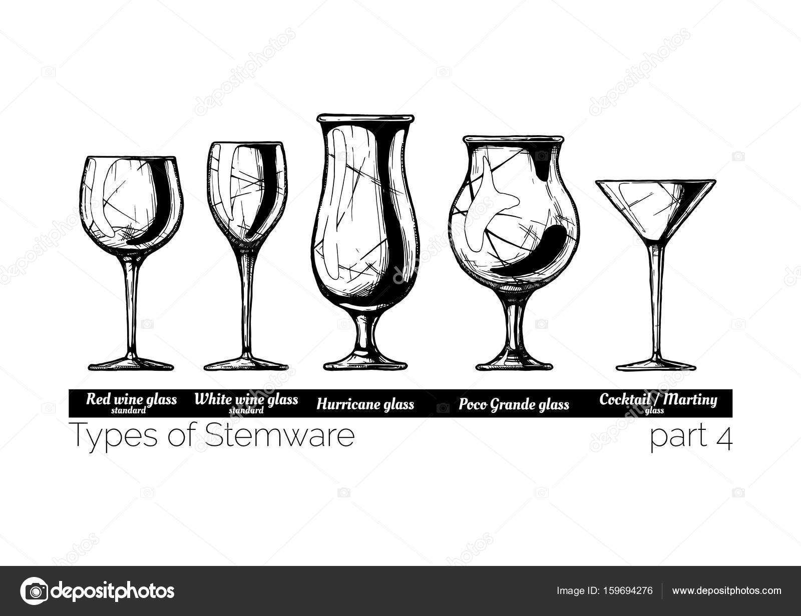 Illustration of Stemware types Stock Vector Image by ©suricoma #159694276