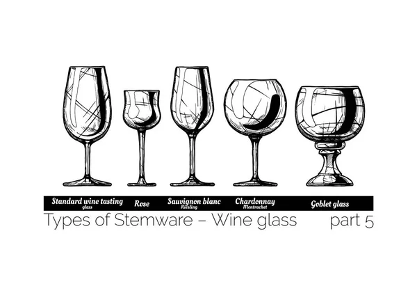 Illustration of Stemware types Stock Vector Image by ©suricoma #159694276