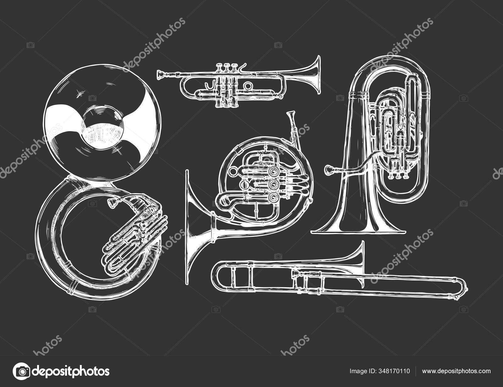 Vector Hand Drawn Set Brass Musical Instruments Sousaphone Trumpet ...