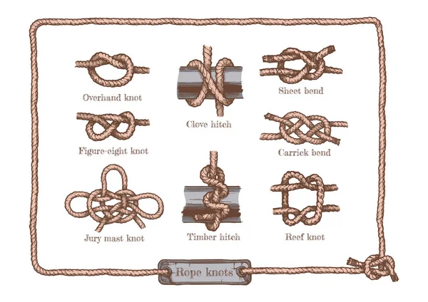 38 Clove hitch knot Vectors, Royalty-free Vector Clove hitch knot ...