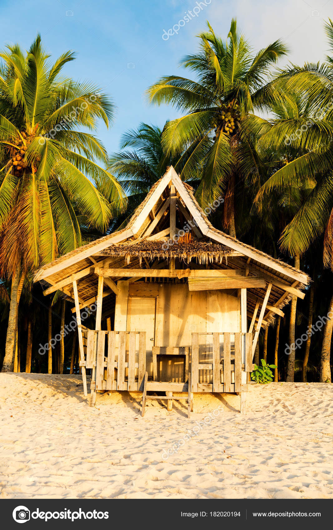 Tropical Beach Hut