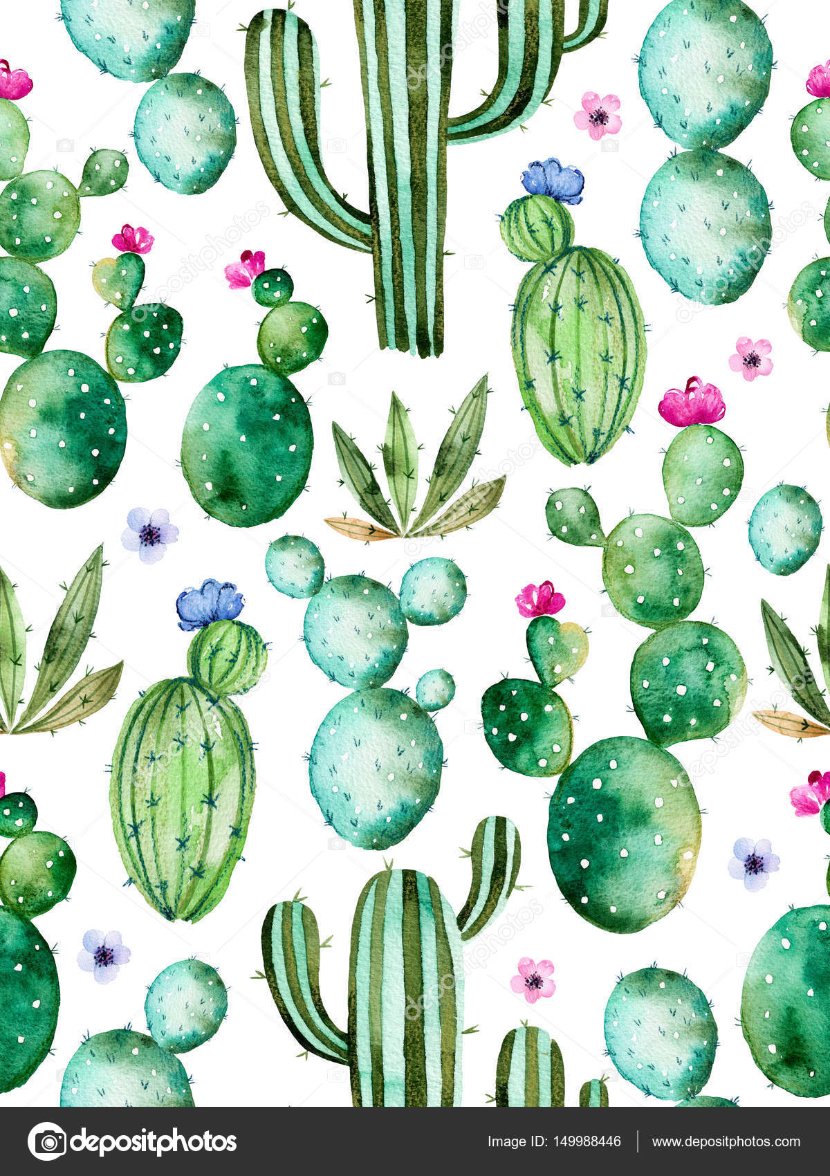 Watercolor handpainted cactus plant — Stock Photo © Katerina_Skorik ...