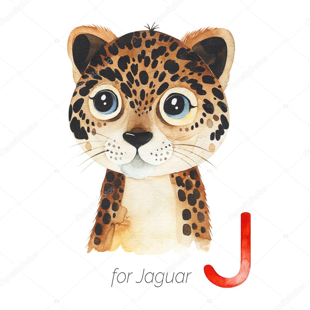Jaguar para letra J, ilustración creativa de acuarela para alfabeto ...