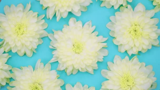 219,018 Flowers Videos, Royalty-free Stock Flowers Footage | Depositphotos