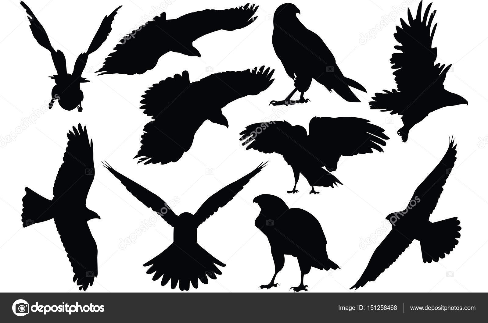 Flying Hawk Silhouette Vector