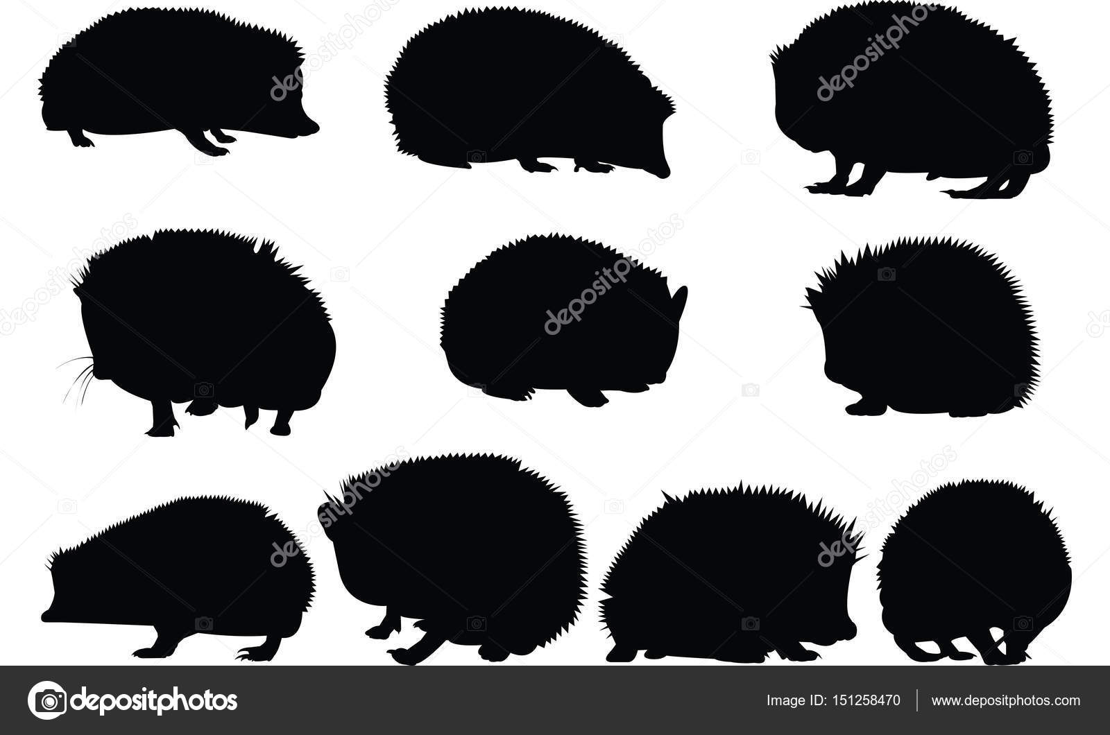 Hedgehog Silhouette