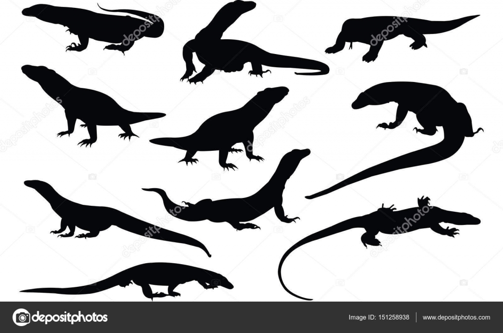 Komodo Dragon Silhouette vector illustration Stock Vector by ... Komodo Dragon Silhouette vector illustration Stock Vector by ...