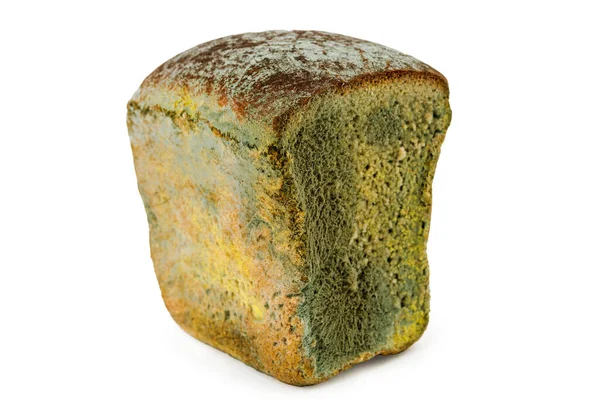 Moldy baked goods Stock Photos, Royalty Free Moldy baked goods Images ...